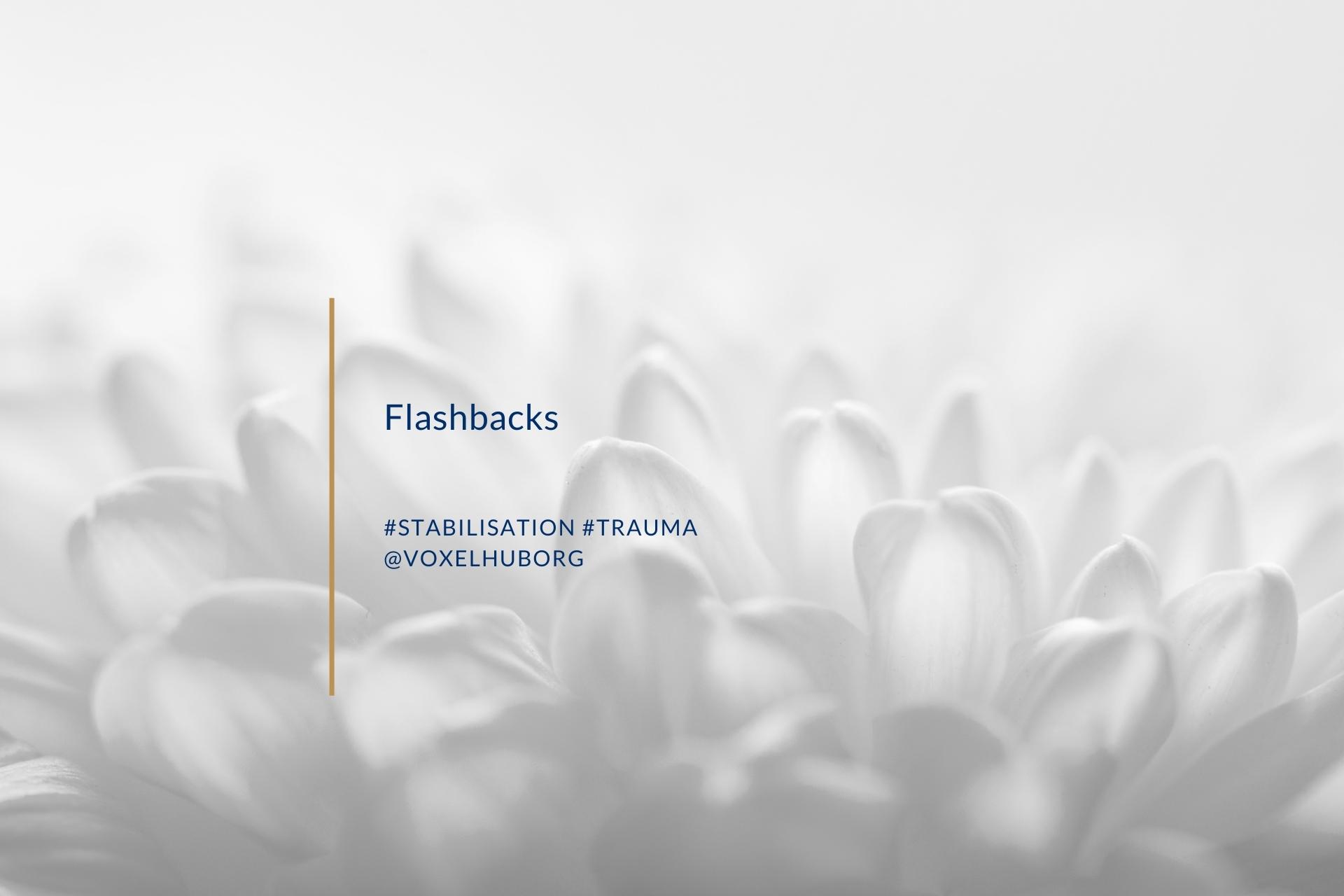 Flashbacks - Voxel Hub