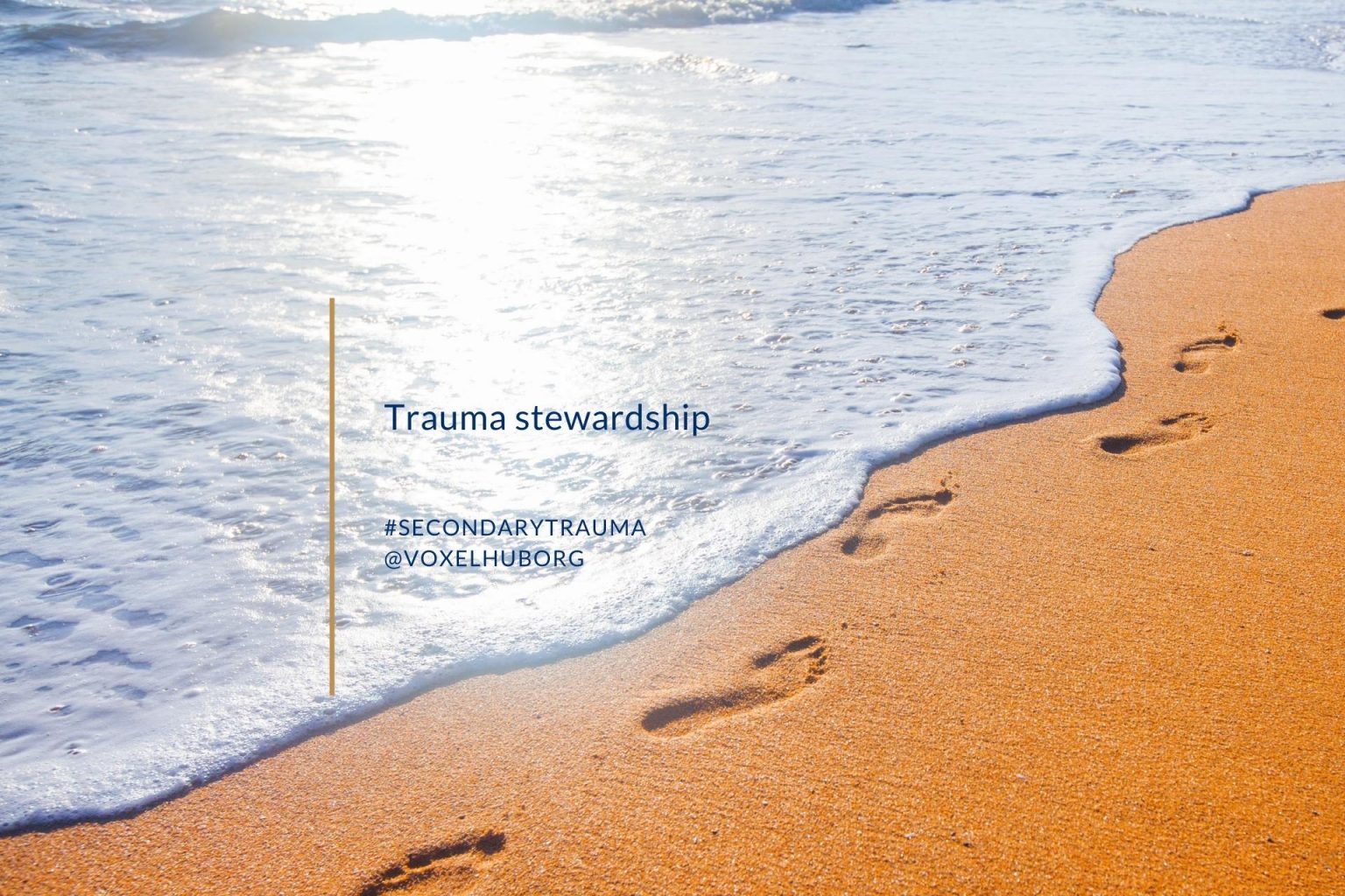 Trauma stewardship - Voxel Hub