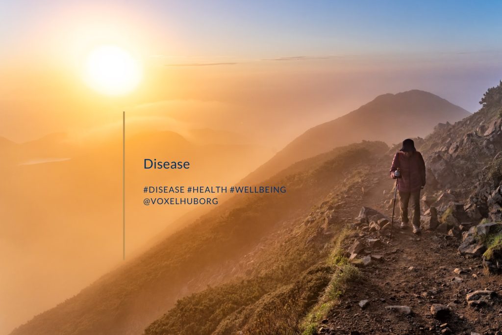 What Is Disease Voxel Hub