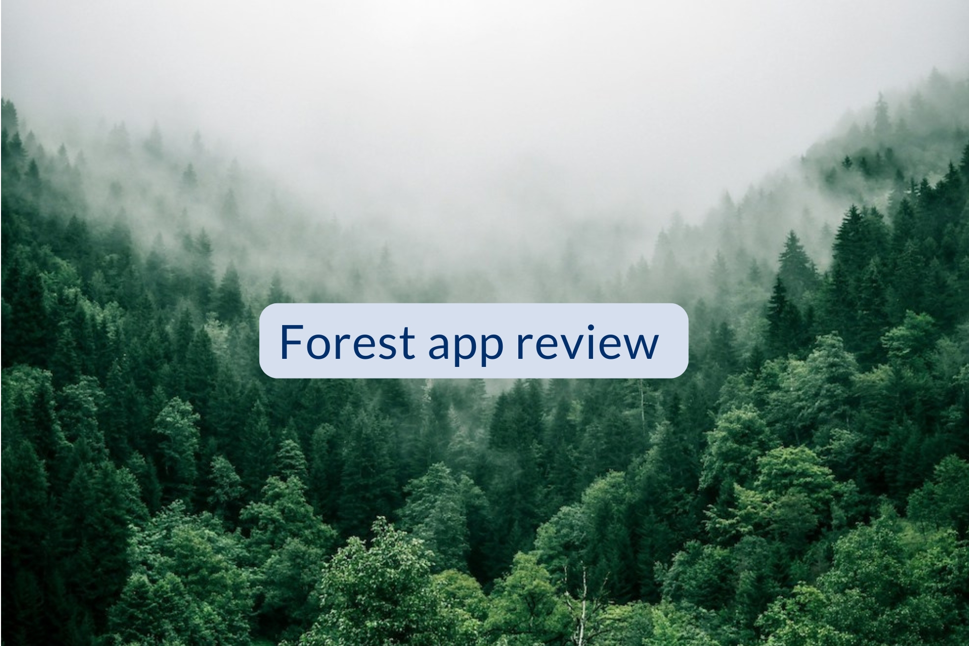 Forest: App Review - Voxel Hub